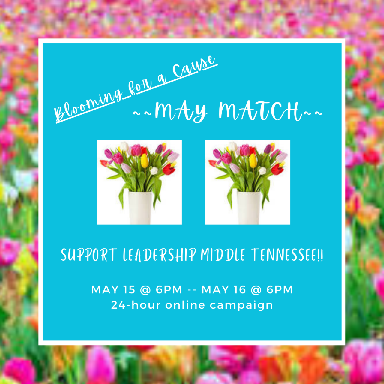 May Match | Leadership Middle Tennessee